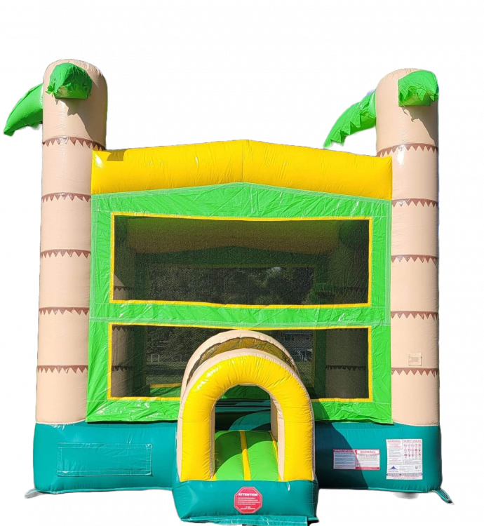 Bounce Houses - Joyful Jumpers GODFREY IL